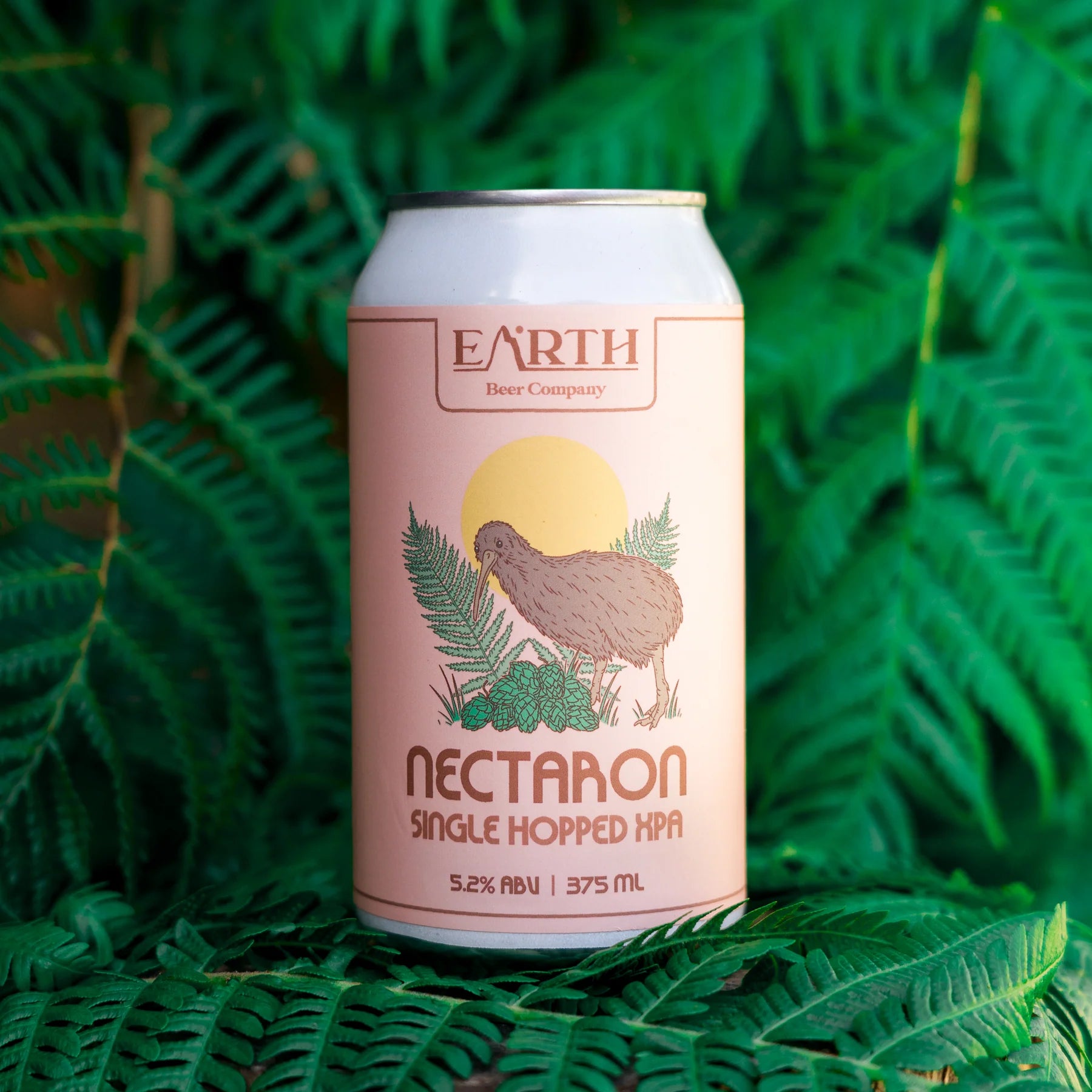 The Range Beyond: Nectaron XPA 5.2% – Earth Beer Company