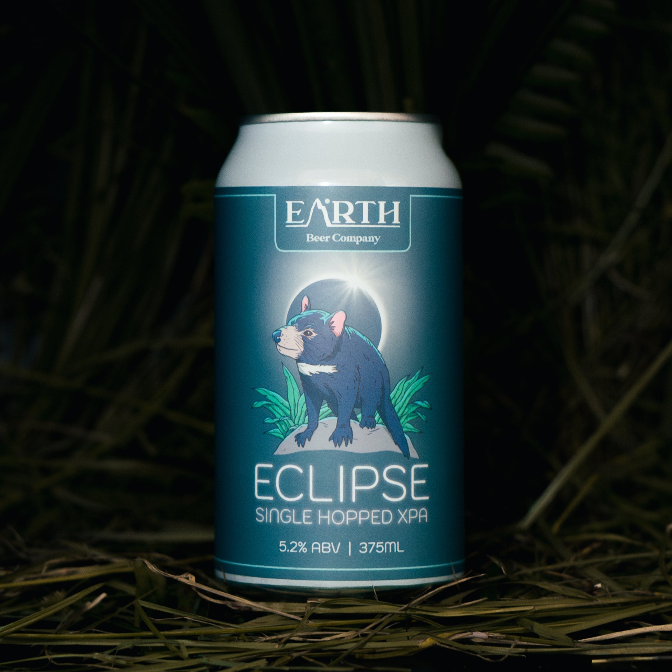 The Range Beyond Series: Eclipse XPA 5.2% – Earth Beer Company