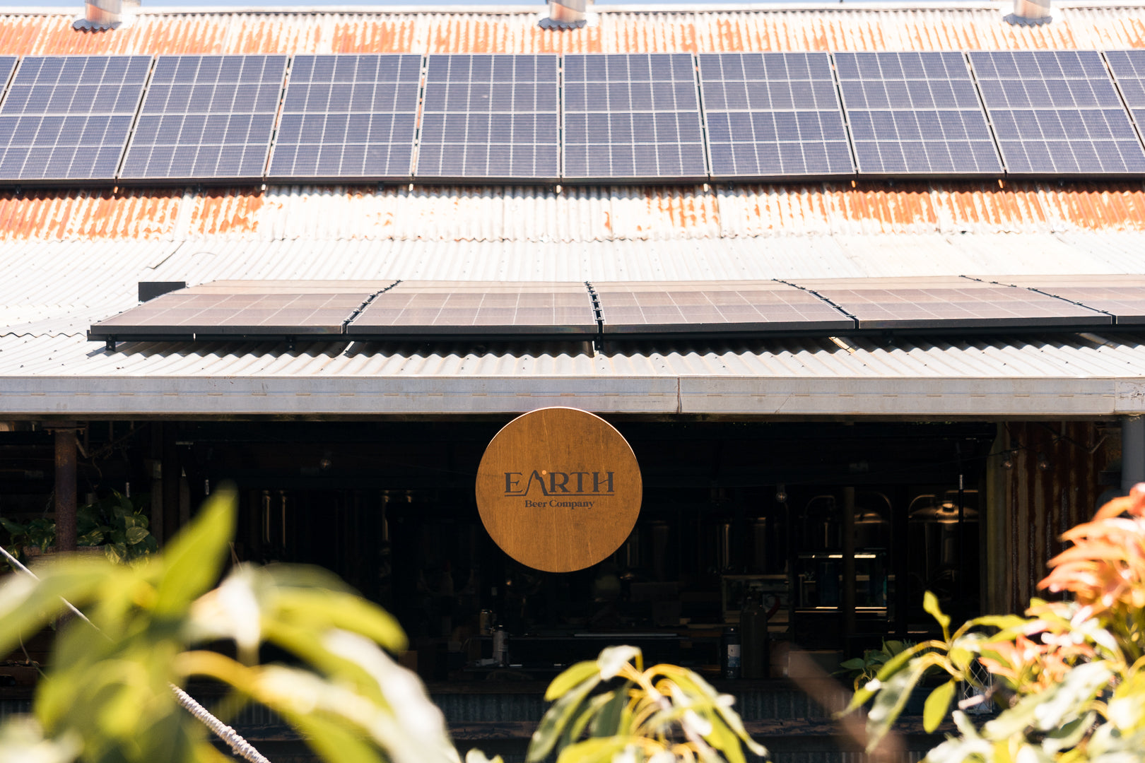 What's On – Earth Beer Company