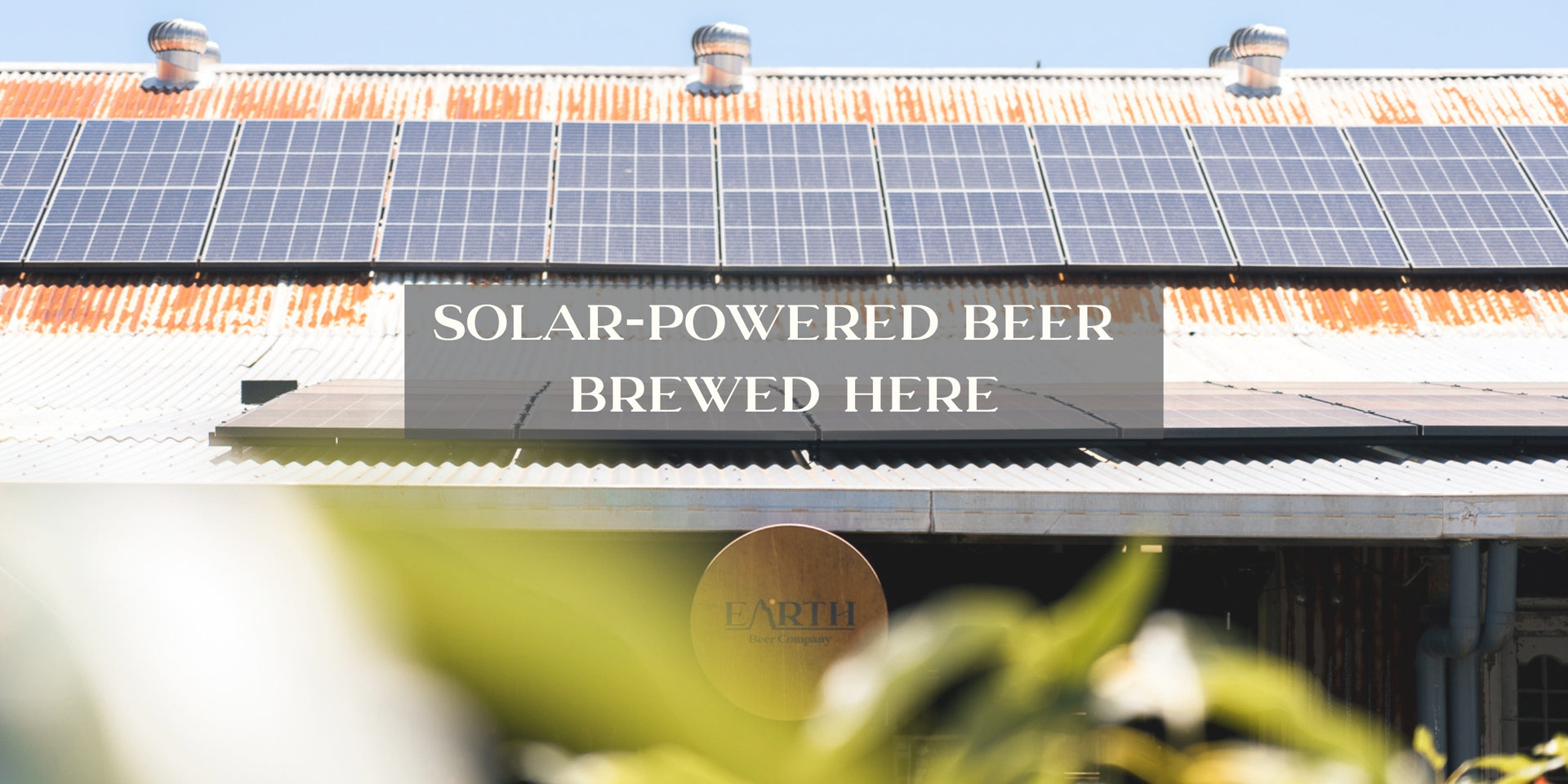 Earth Beer Company | Local Craft Brewery in Cudgen, NSW